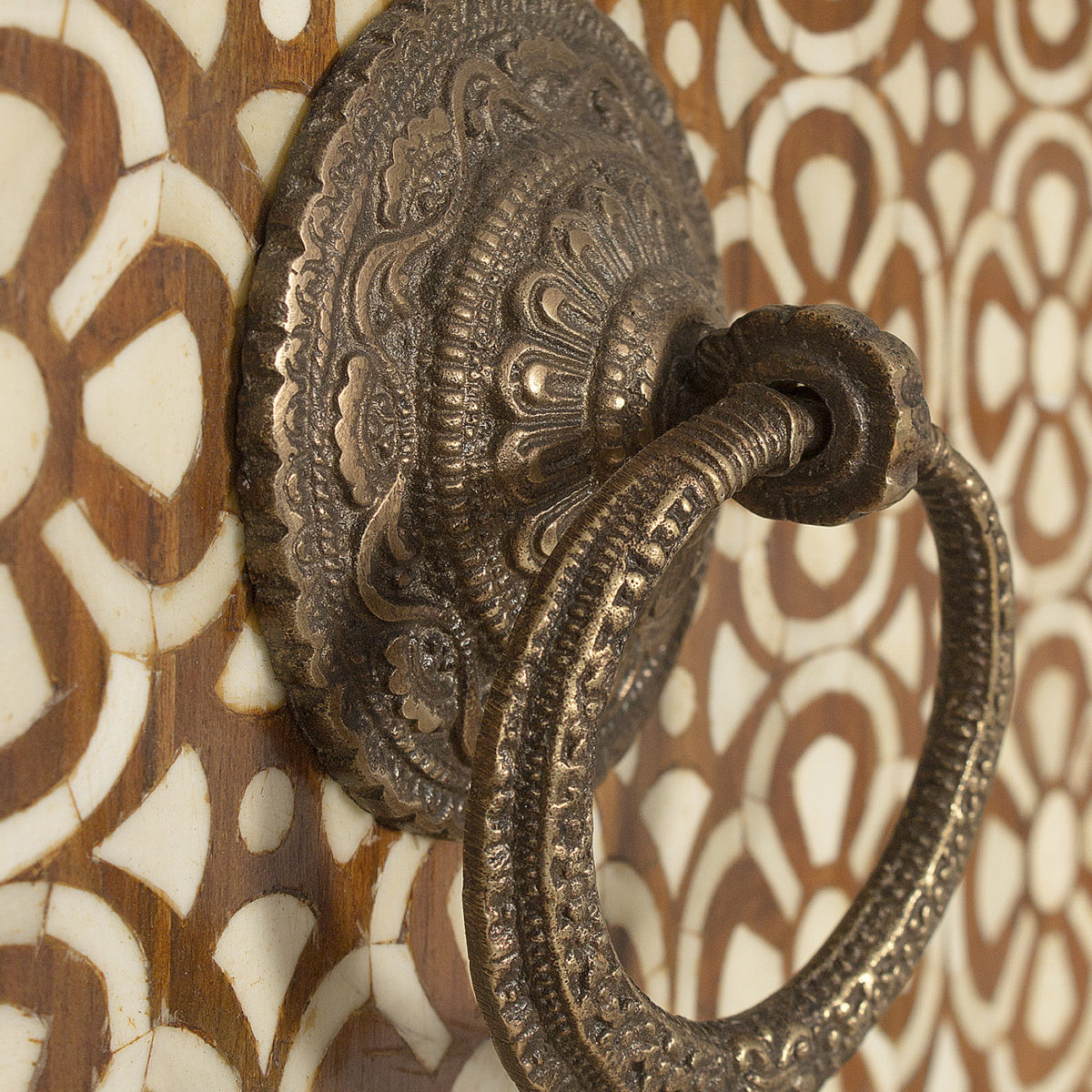 Bone Inlay Door: Vintage Door with Contemporary Inlay