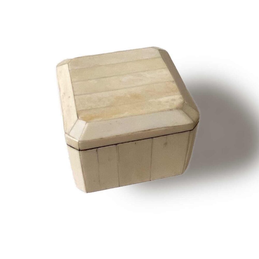 Petite Square Bone Box | Decorative Bone Box | Decorative Accessory