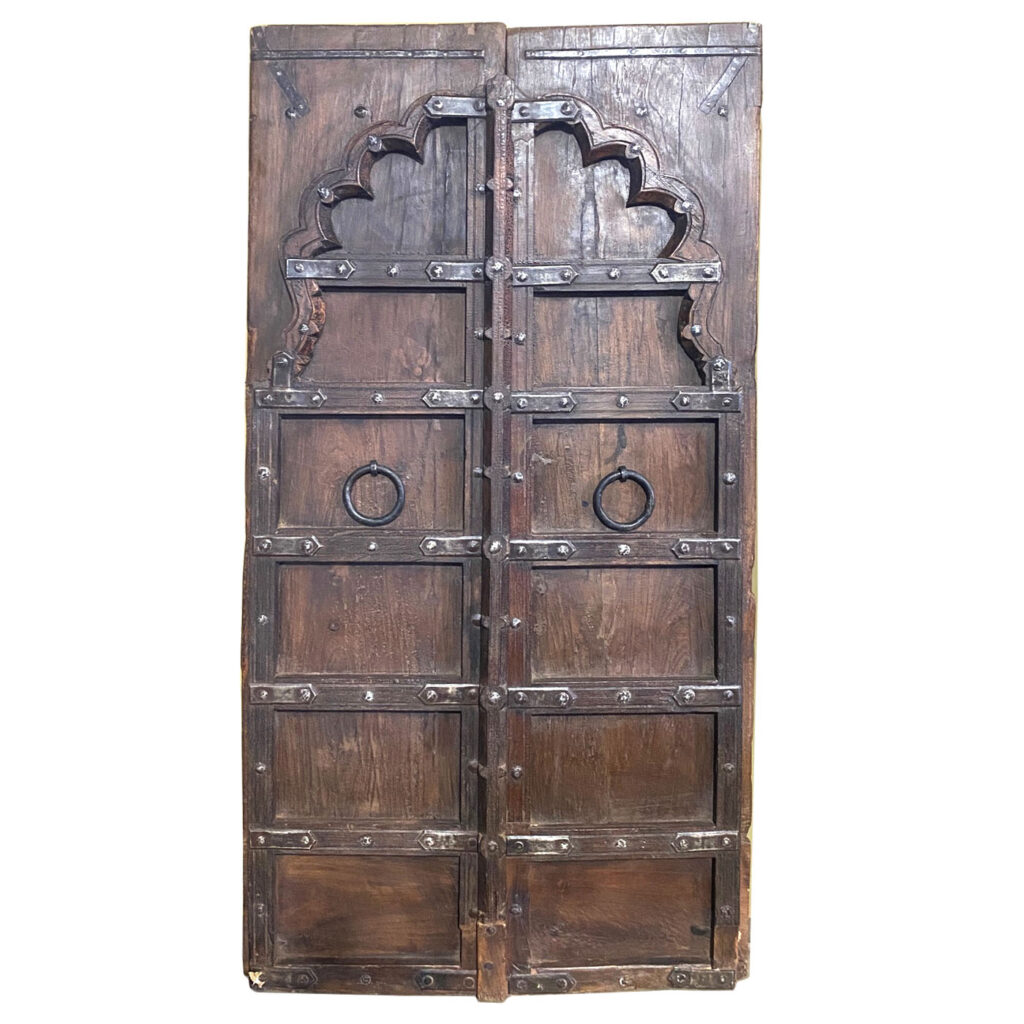Antique Rustic Moghul Door | Unique Closet Door | One of a Kind Door
